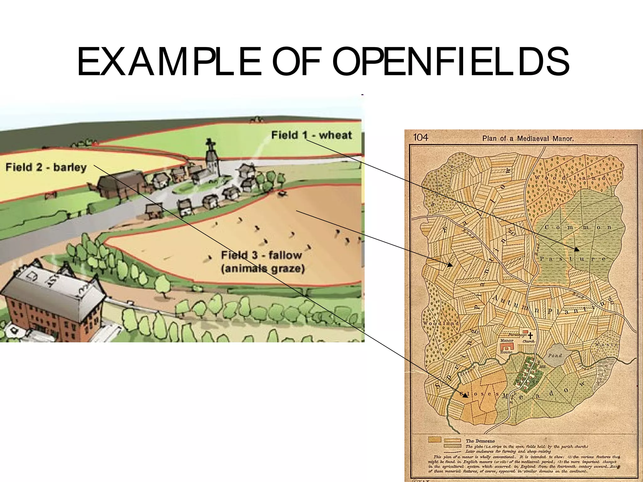 Continental openfields in Europe | PPT
