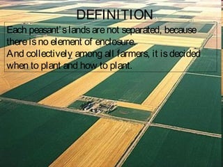 Continental openfields in Europe | PPT