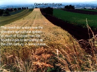 Continental openfields in Europe | PPT