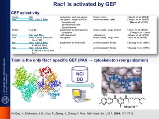 Design Of New Rac1 Inhibitors Through Computational Approaches | PDF