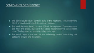 Continous renal replacement therapy | PPTX