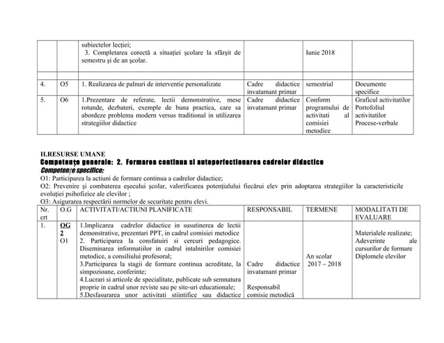 Continuare plan managerial bun | DOC