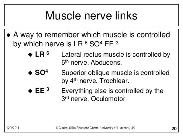 Continuation of Cranial Nerve Exam