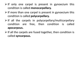 Continuation of Flower Morphology.pptx
