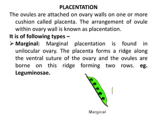 Continuation of Flower Morphology.pptx