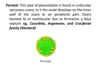 Continuation of Flower Morphology.pptx