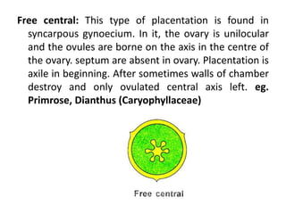 Continuation of Flower Morphology.pptx