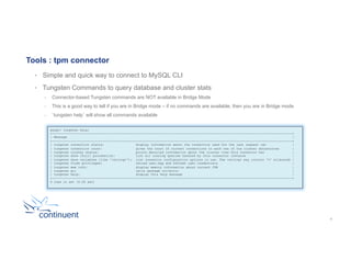 Training Slides: Basics 104: Simple Tungsten Clustering Deployments | PPT