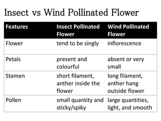 Continuity of Life.pptx | Pregnancy | Reproductive Health
