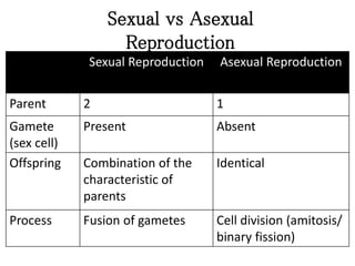 Continuity of Life.pptx | Pregnancy | Reproductive Health