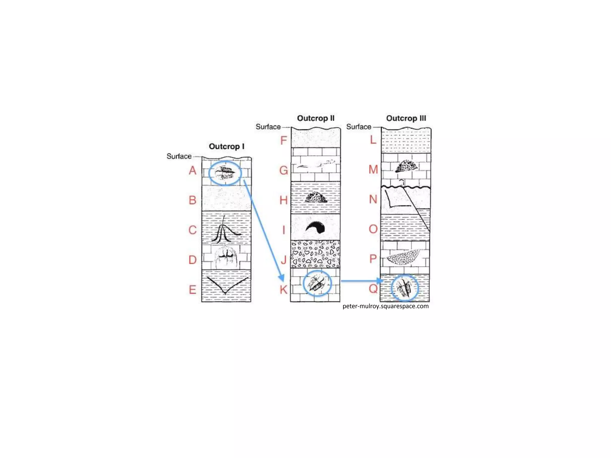 Continuity of Life on Earth | PPTX