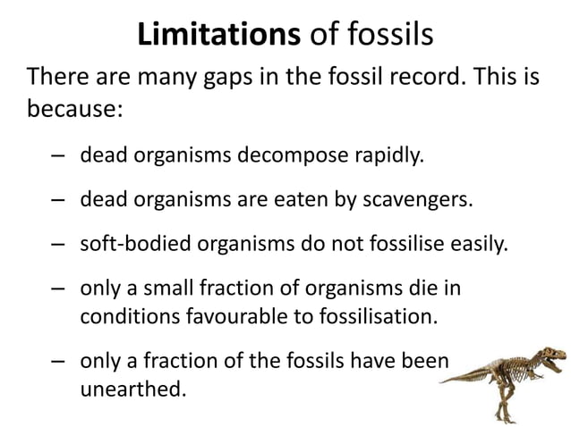 Continuity of Life on Earth | PPTX | Geology | Science