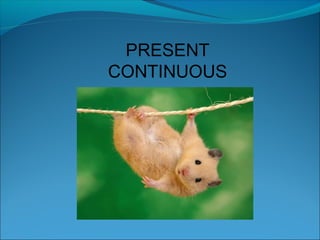Present Continuous | PPT