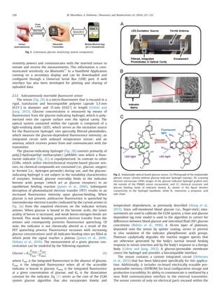Continuous glucose | PDF