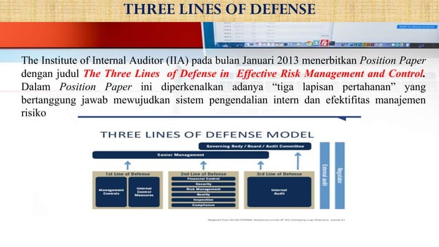 Continuous auditing dan continuous monitoring (cacm) | PDF