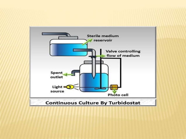 Continuous Culture ARUL SELVAM.pptx