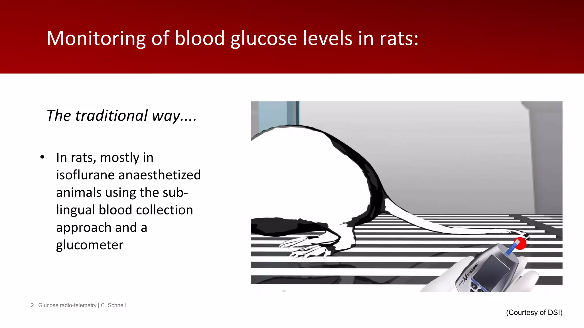 Continuous Glucose Monitoring for Diabetes, Obesity and Metabolism ...