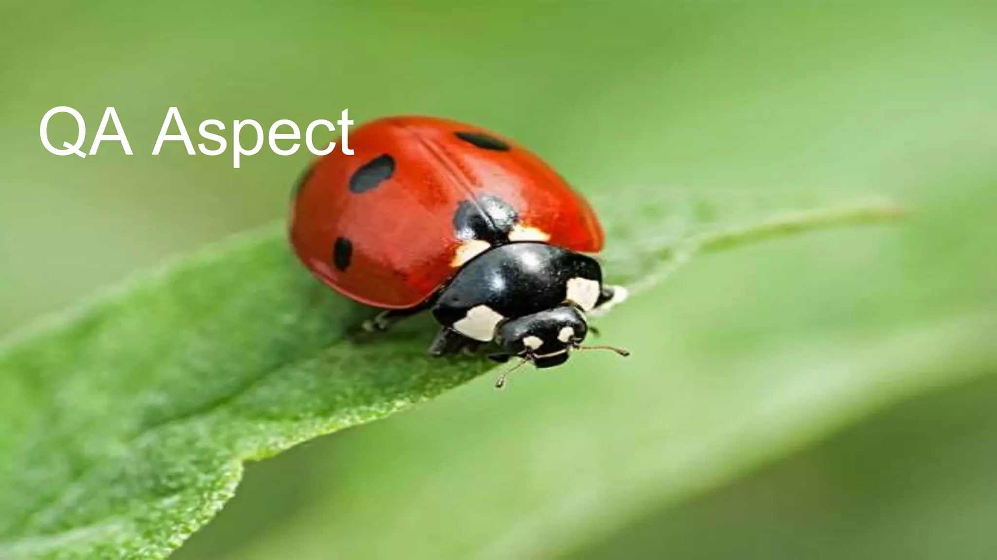 Continuous integration introduction | PPTX | Computer Software and Applications | Computing