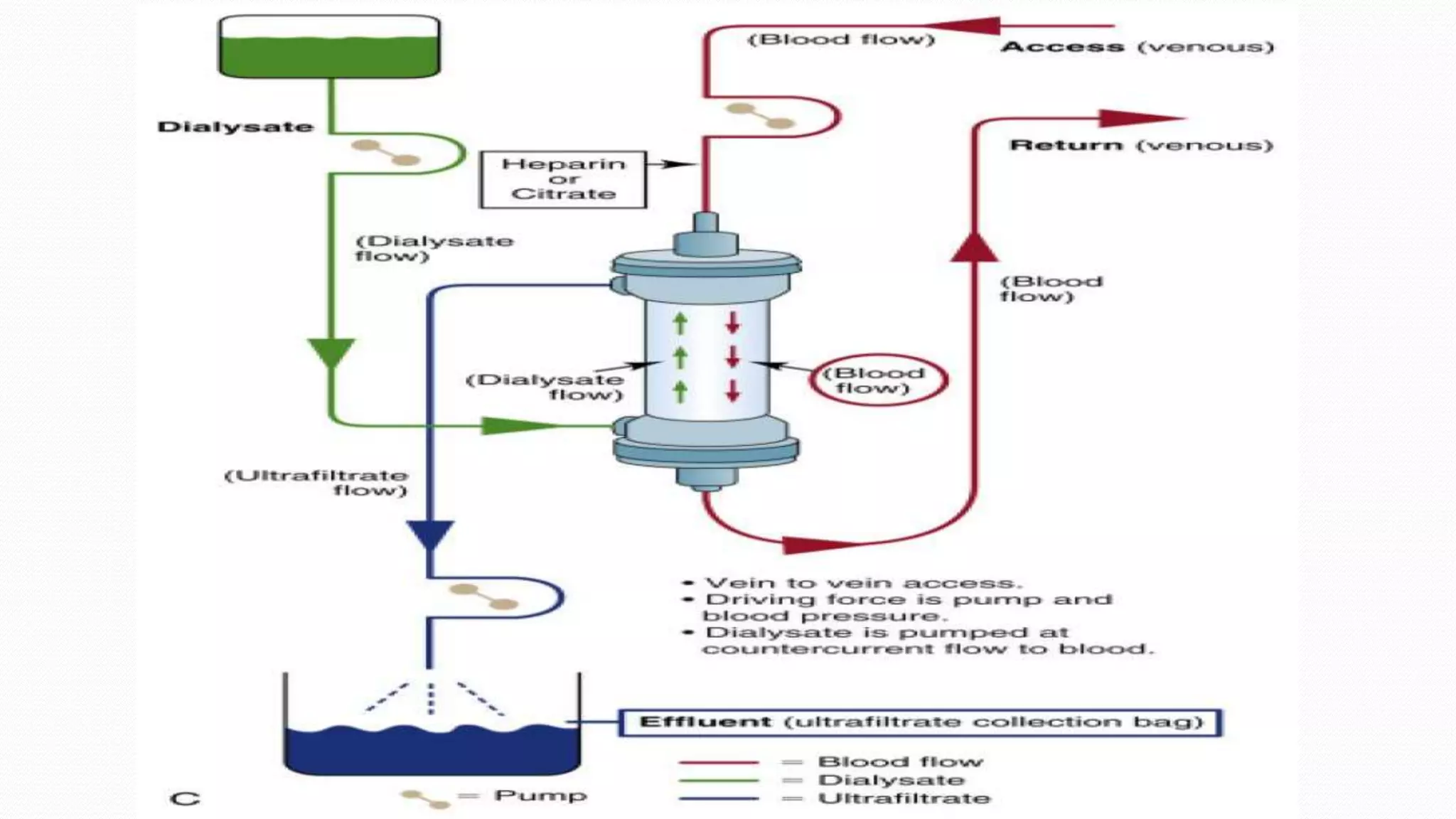 Continuous renal replacement therapy crrt | PPTX | Blood Disorders ...