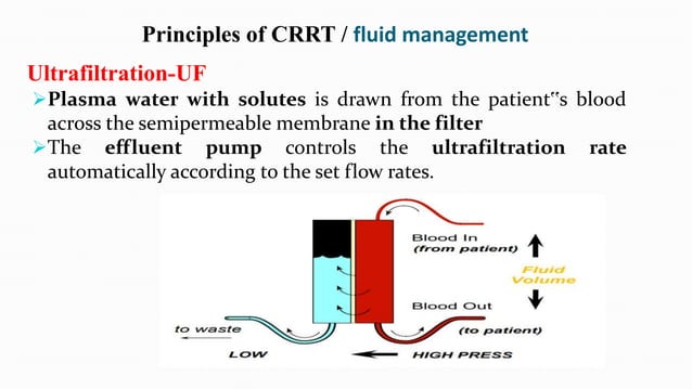 Continuous renal replacement therapy crrt | PPTX | Blood Disorders ...