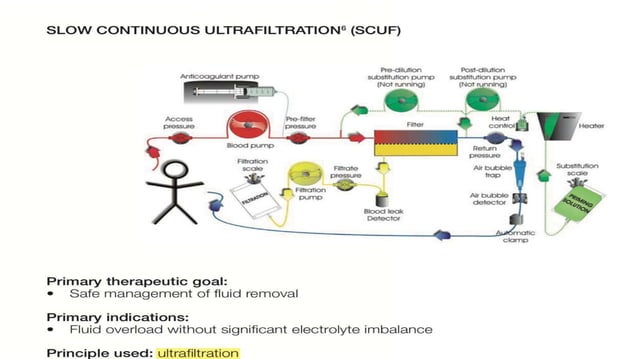 Continuous renal replacement therapy crrt | PPTX | Blood Disorders ...