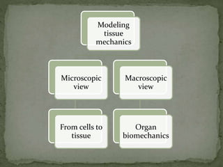 Continuum Biomechanics of Soft Tissue | PPTX