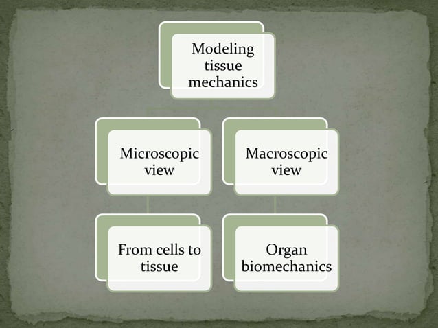 Continuum Biomechanics of Soft Tissue | PPTX | Biological Sciences | Science