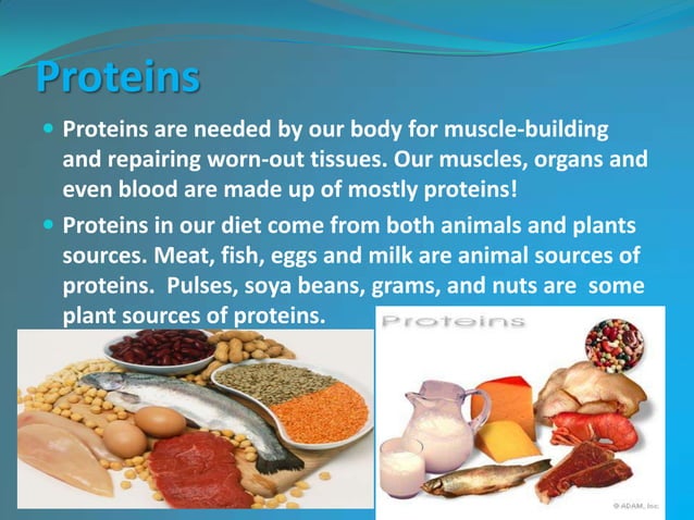 Constituents or Components of Food materials | PPT