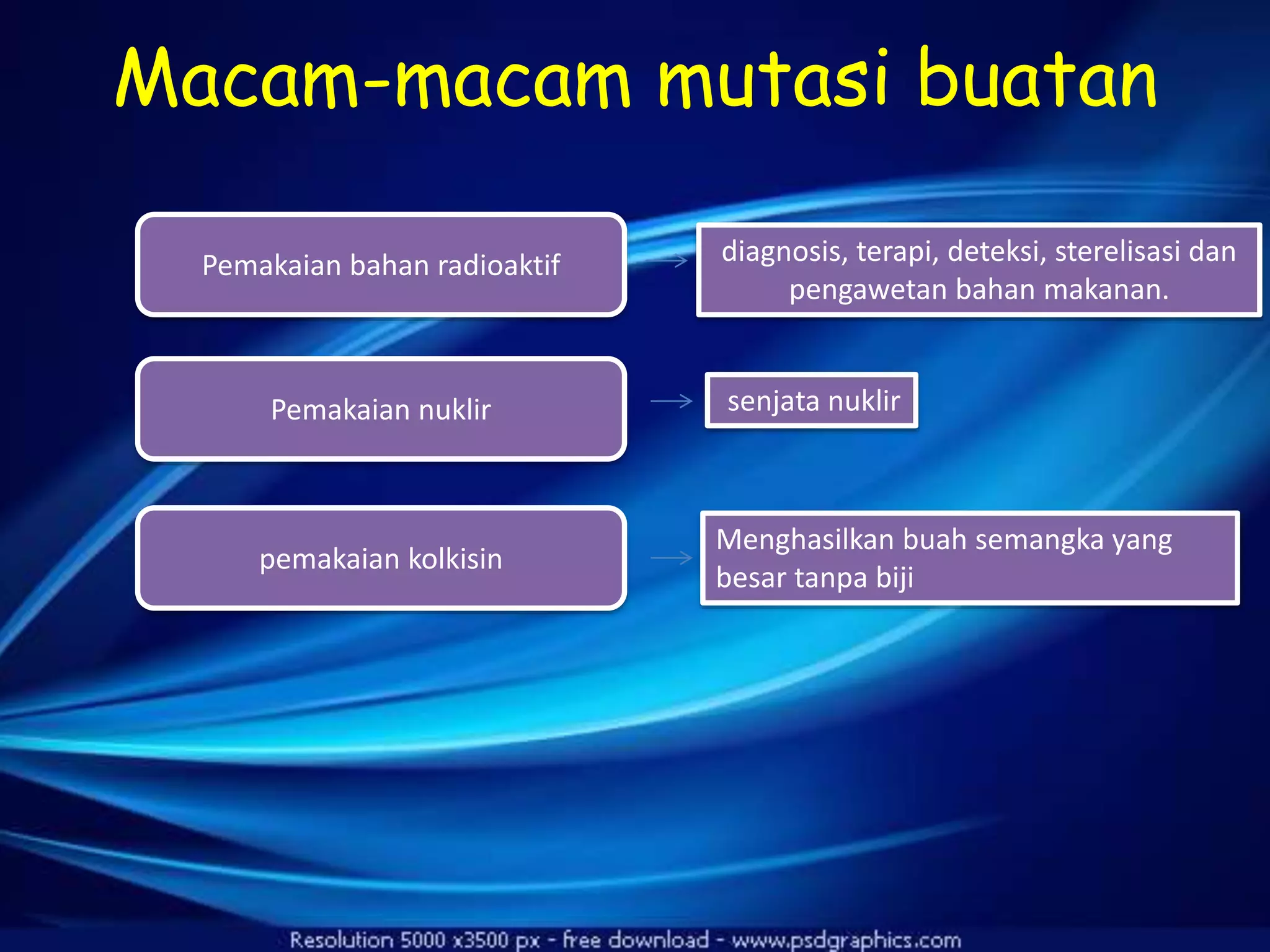 Contoh contoh mutasi (gezan girya noor, m. rizki w.r, & rahmadhana .m ...