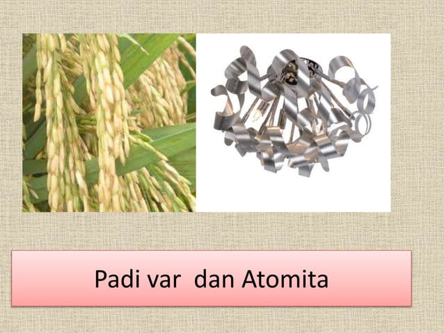 Contoh contoh mutasi (gezan girya noor, m. rizki w.r, & rahmadhana .m ...