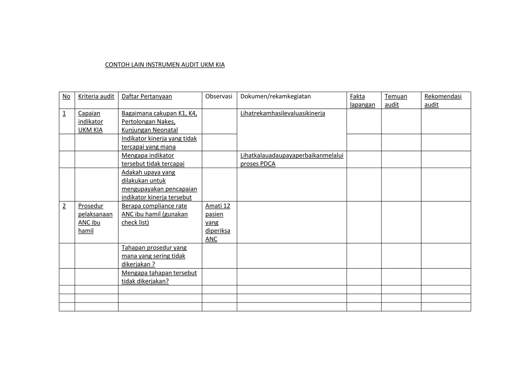 CONTOH AUDIT PLAN DAN INSTRUMEN AUDIT.docx