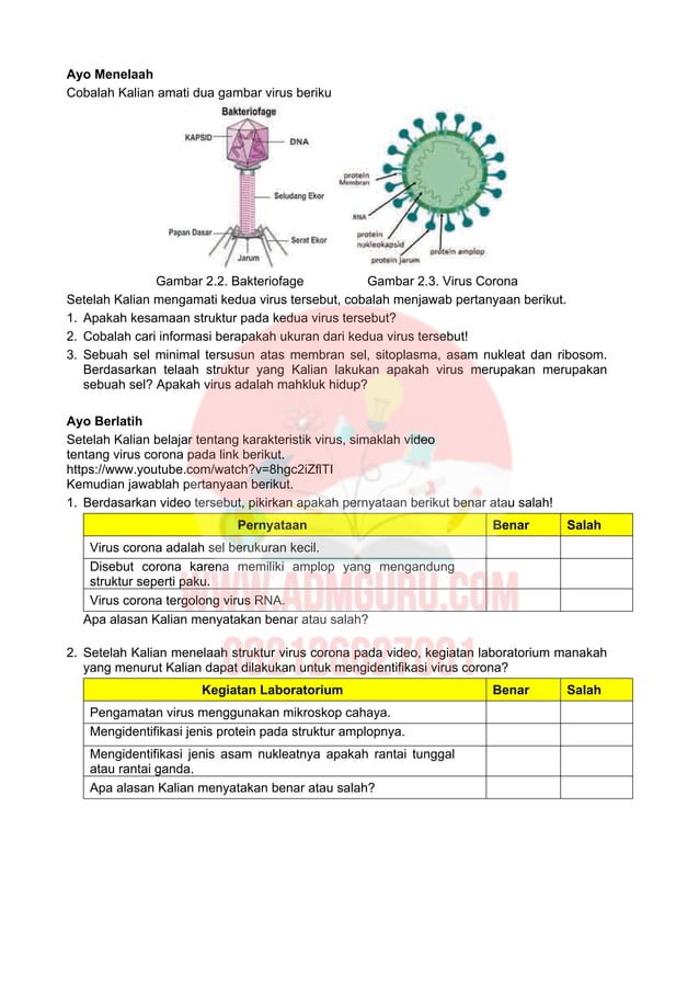Modul Ajar Biologi Kelas 10 Deep Learning | PDF