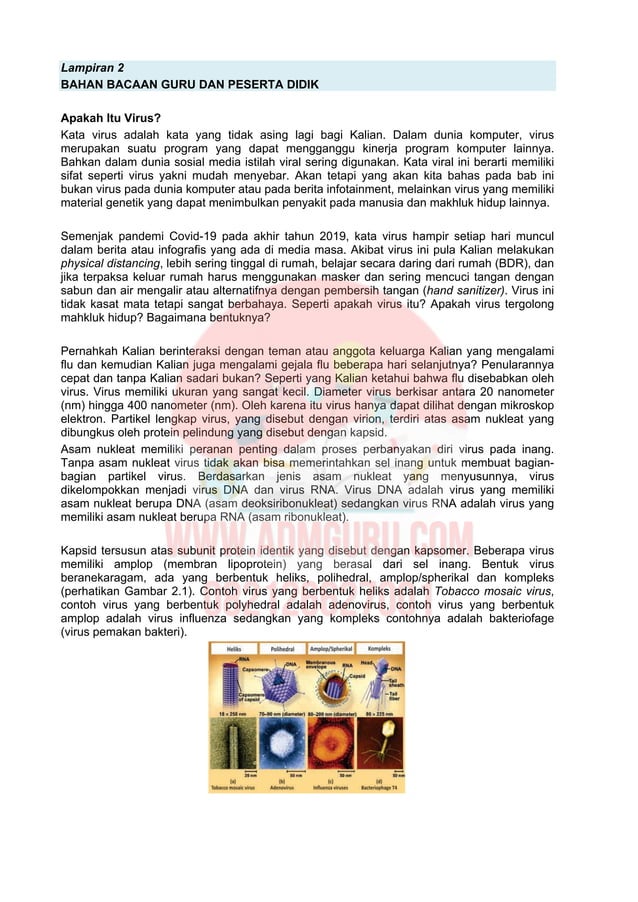 Modul Ajar Biologi Kelas 10 Deep Learning | PDF