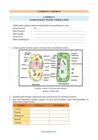 Modul Ajar Biologi SMA Kelas 11 Kurikulum Merdeka | DOCX