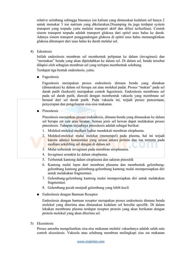 Modul Ajar Biologi SMA Kelas 11 Kurikulum Merdeka | DOCX