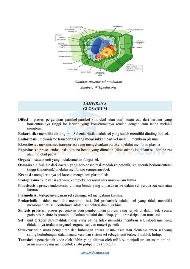 Modul Ajar Biologi SMA Kelas 11 Kurikulum Merdeka | DOCX