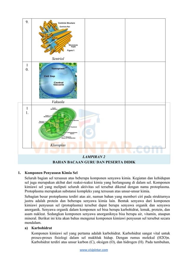 Modul Ajar Biologi SMA Kelas 11 Kurikulum Merdeka | DOCX