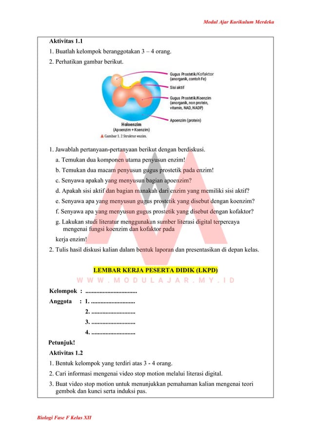 Modul Ajar Biologi Kelas 12 Kurikulum Merdeka | PDF