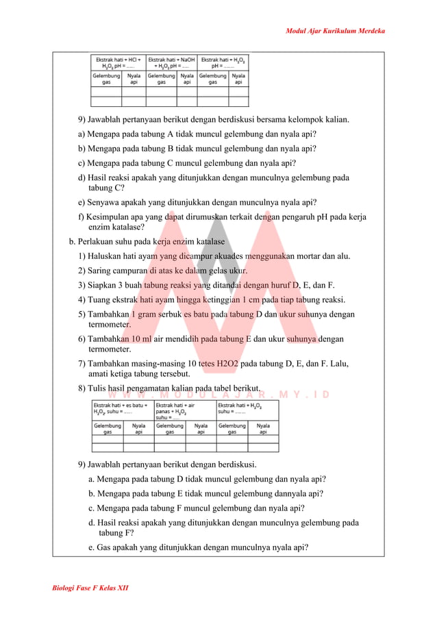 Modul Ajar Biologi Kelas 12 Kurikulum Merdeka | PDF