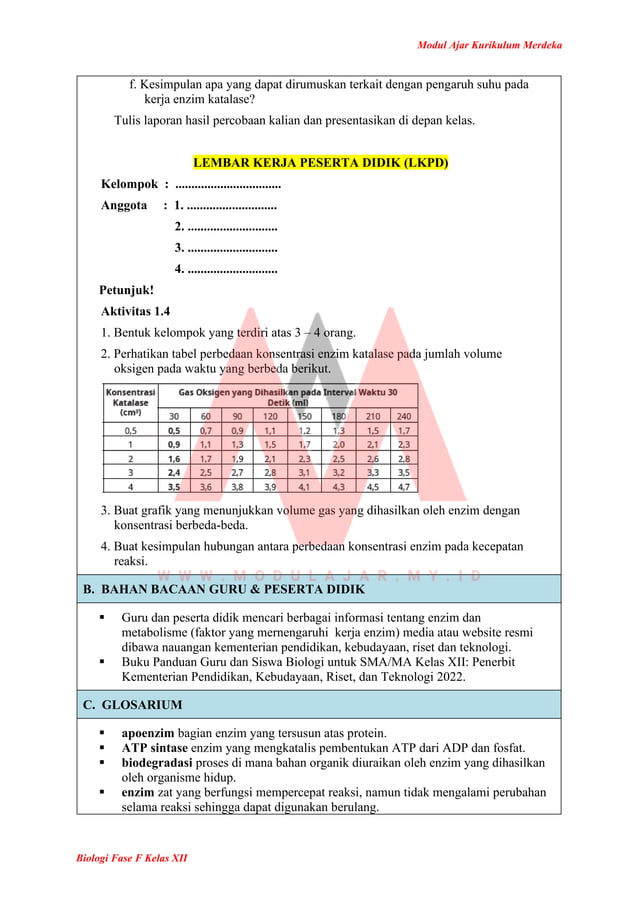 Modul Ajar Biologi Kelas 12 Kurikulum Merdeka | PDF
