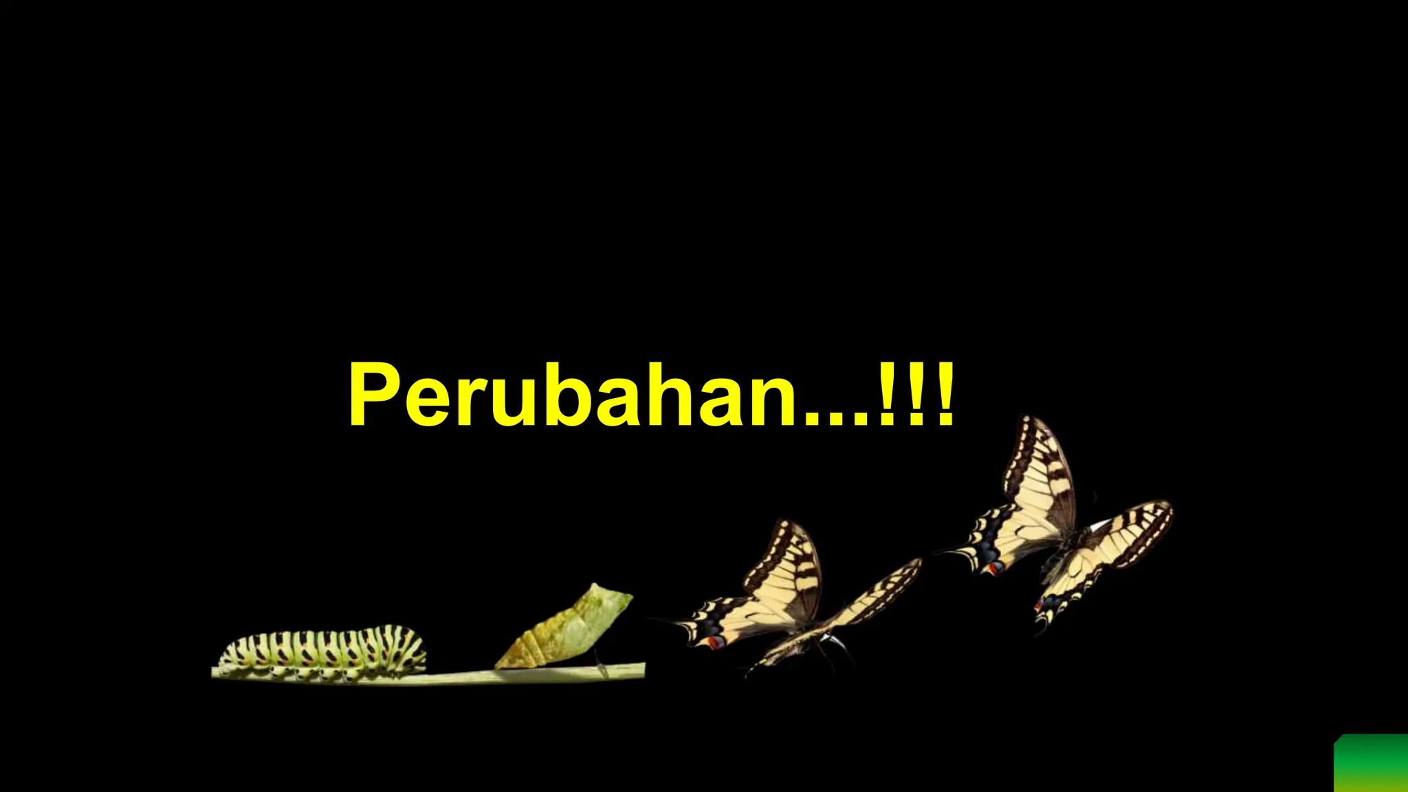 CONTOH EXIT CONFERENCE untuk presentasi siapapun yang pengen mencontoh.pptx