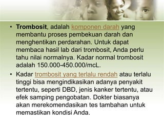 Contoh Hasil Lab kelas darah 24 ogos 2022.pptx