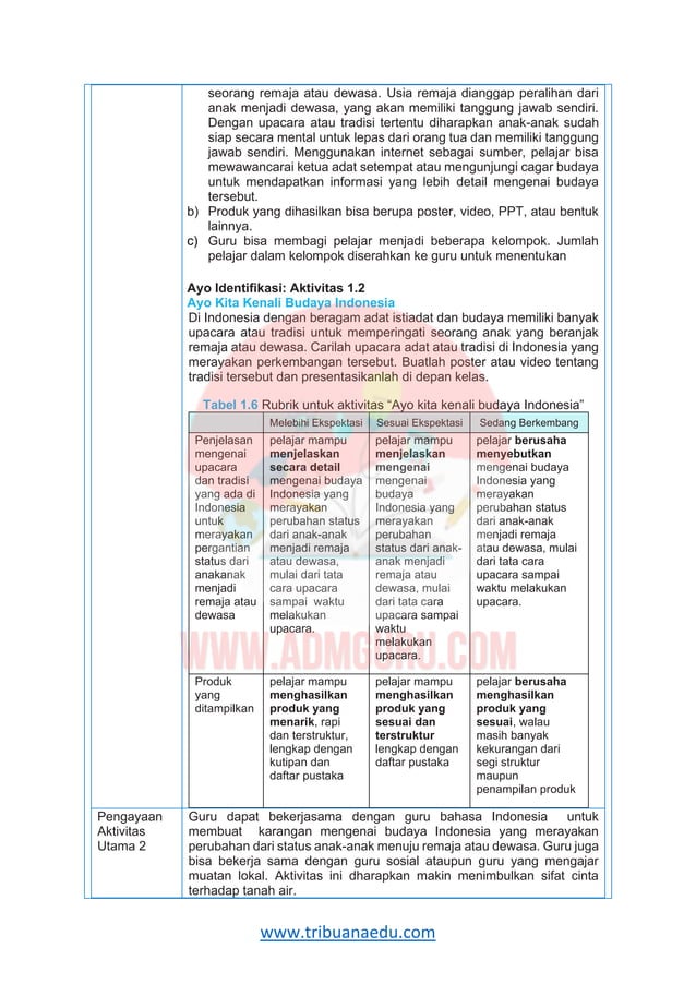 Modul Ajar IPA Kelas 9 Kurikulum Merdeka | PDF