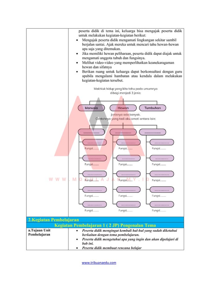 Modul Ajar IPAS Kelas 3 Kurikulum Merdeka | PDF
