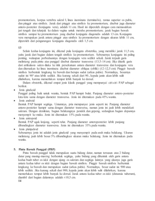 Contoh makalah tulang belakang | DOCX
