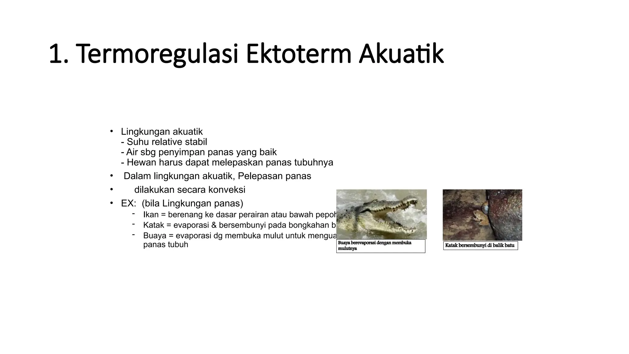 Fisiologi hewan contoh regulasi penting.pptx