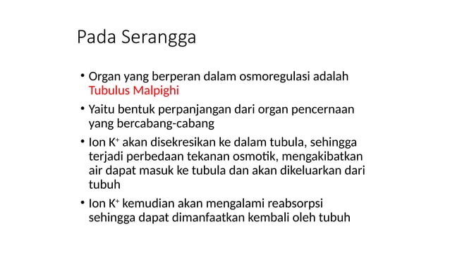 Fisiologi hewan contoh regulasi penting.pptx
