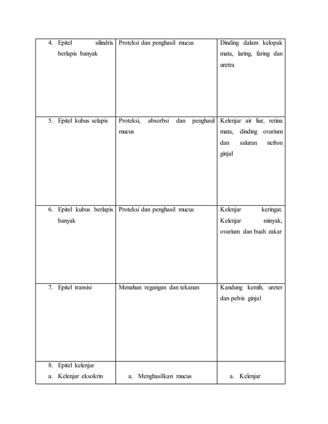 Contoh RPP kurikulum 2013 | PDF