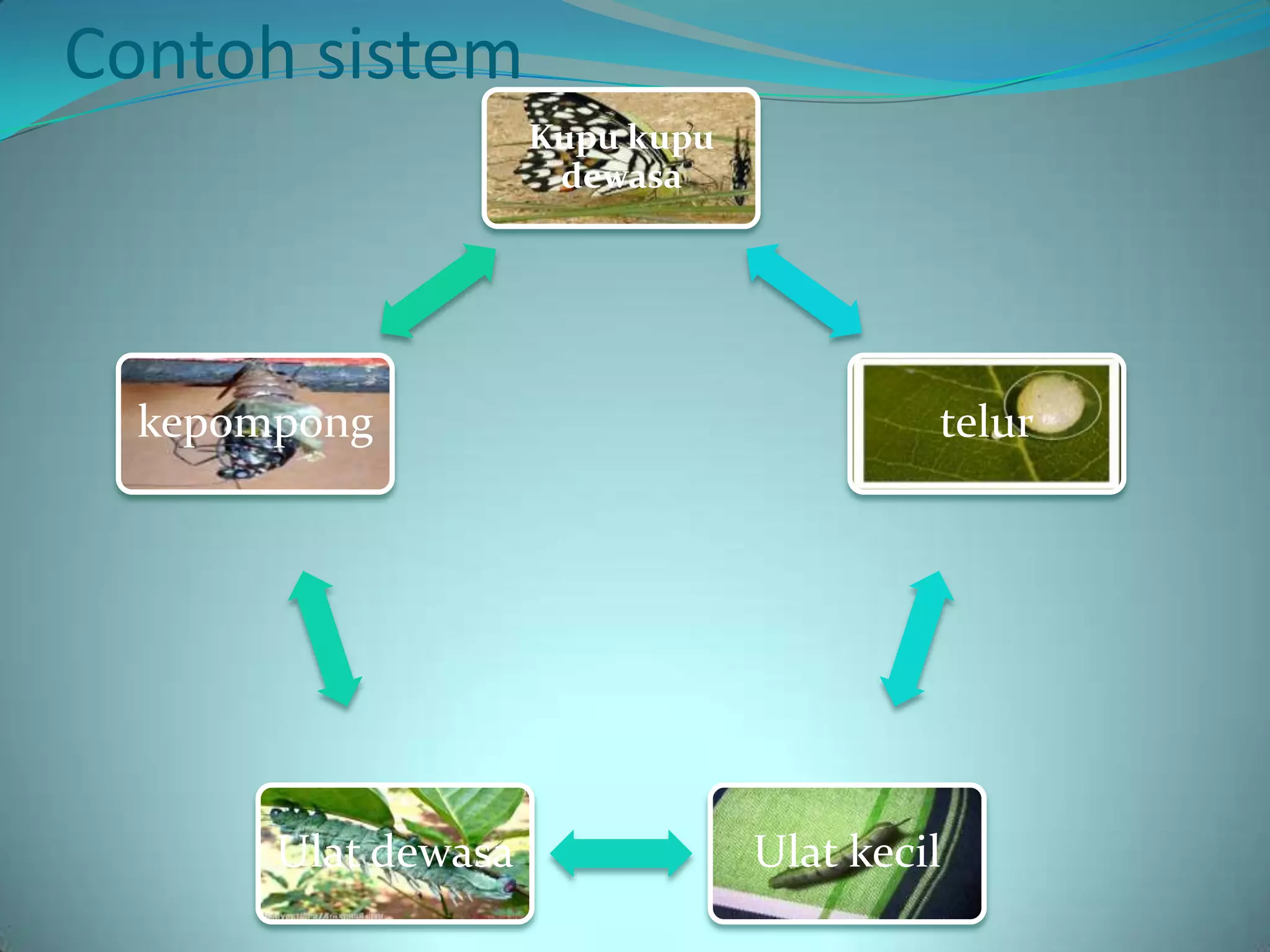 Contoh sistem | PPT