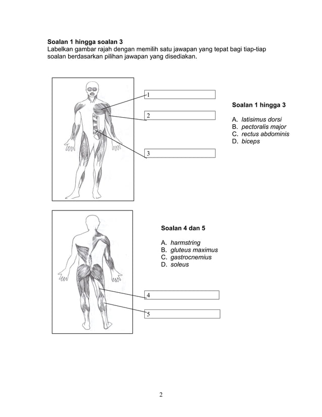 Contoh soalan pjk tahun 5 | DOC